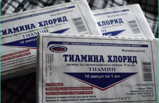 Витамины группы В для растений | ОГОРОДНИЦА ЮЛИАННА | Дзен