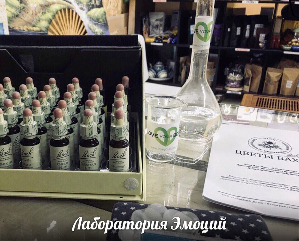 Капли Баха работают с настроением | Блог Эксперта по счастью | Дзен