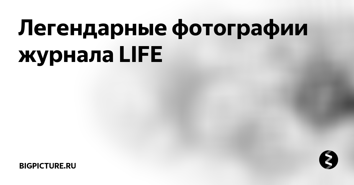 Легендарные фотографии журнала LIFE | BigPIKCHA.ru | Дзен