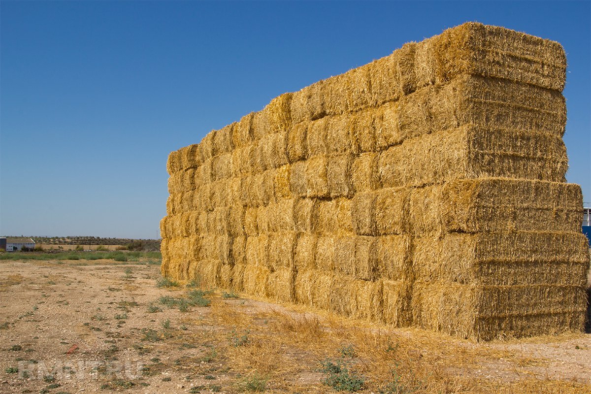 Дом из соломы — чудачество или ноу-хау | Строительный портал RMNT.RU | Дзен