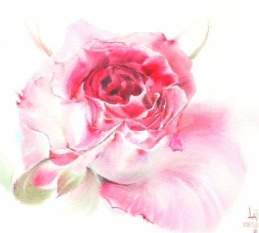 Влюбленный в розы: признанный в мире акварелист из Таиланда Ла Фе ...