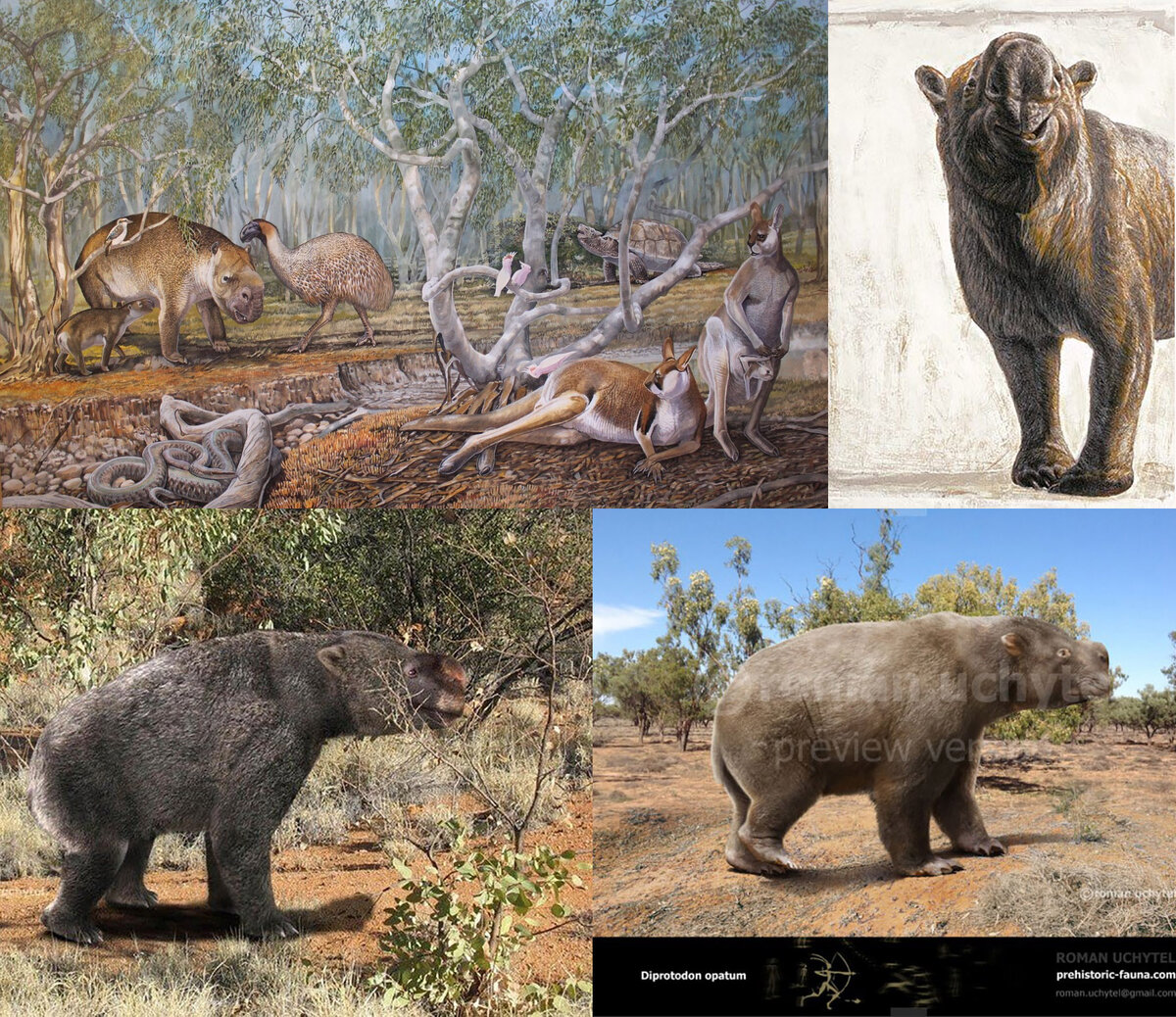 Дипротодон (Diprotodon) – самое огромное сумчатое за всю историю Земли ...