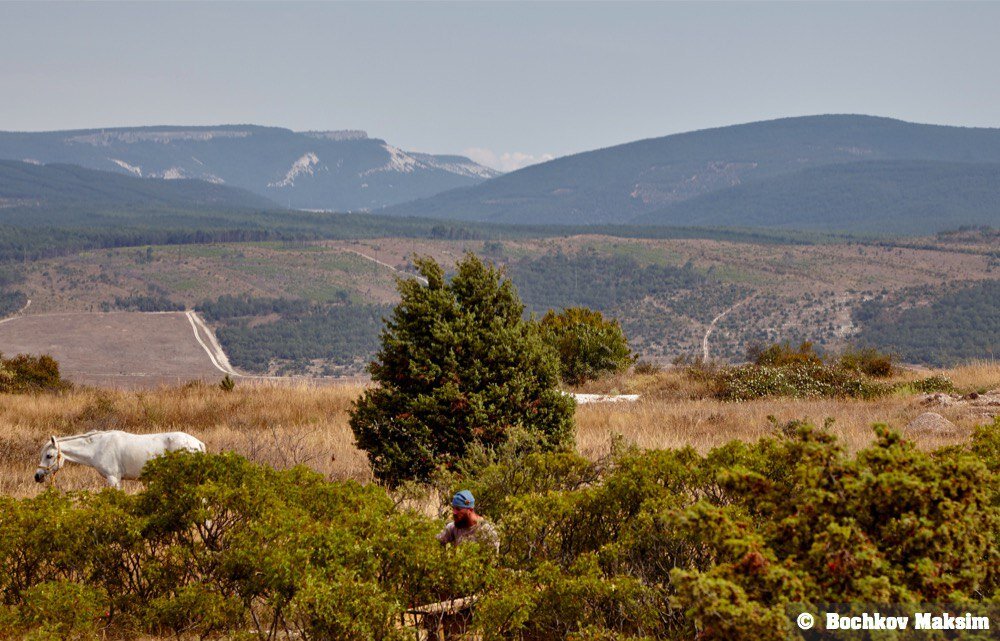 Сашка (часть 147) | MAX67 - Хранитель Истории | Дзен