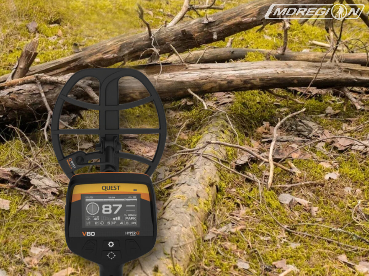 Металлоискатель будущего: как гиродатчики меняют правила игры | MDREGION.RU | Дзен