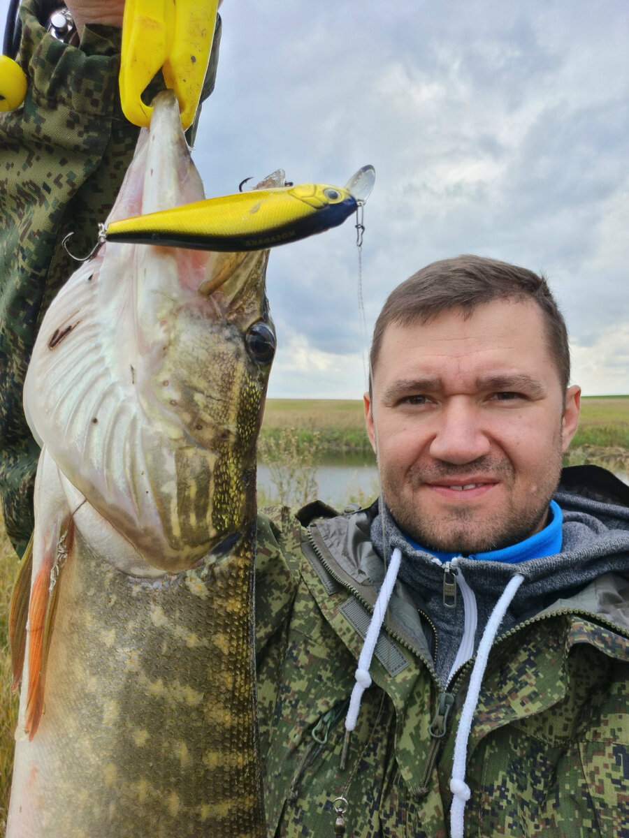 Крупный шед от Kosadaka. У щуки нет шансов! | Рыбацкая душа | Дзен