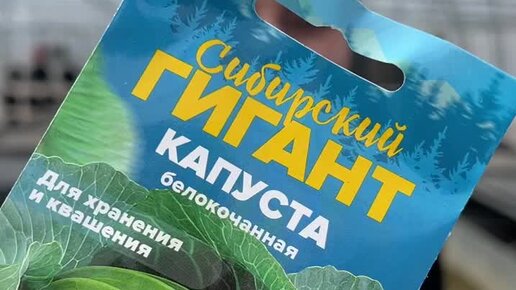 Семена Алтая. Дачные советы от Виктории Карелиной | КАПУСТА ДЛЯ ВСЕГО ...