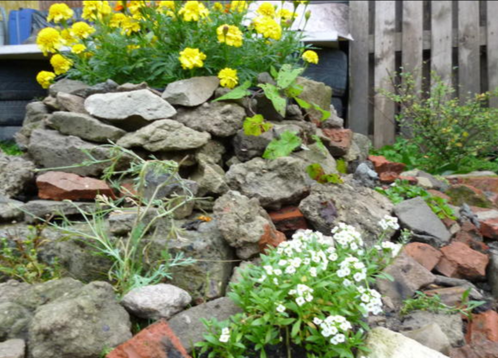 Плохая горка | Сад под Петербургом | Дзен