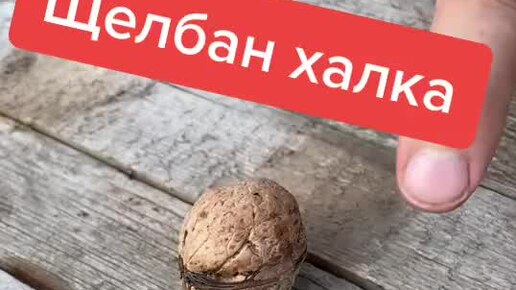 ilusha_help | #илюшахэлп #силач | Дзен