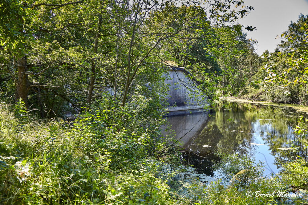 Сашка (часть 371) | MAX67 - Хранитель Истории | Дзен