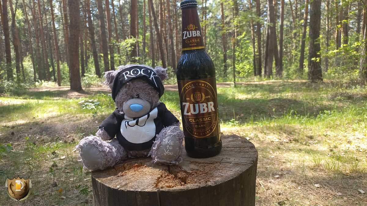 Сядем на пенёк - бахнем пузырёк - Пиво ZUBR Classic Dark! | Хмельной Угар | Дзен