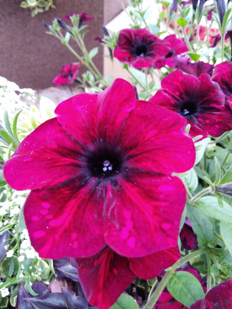 Куда пойти выгуливать красивый льняной комбинезон и шёлковую рубашку? Нашлось интересное ...