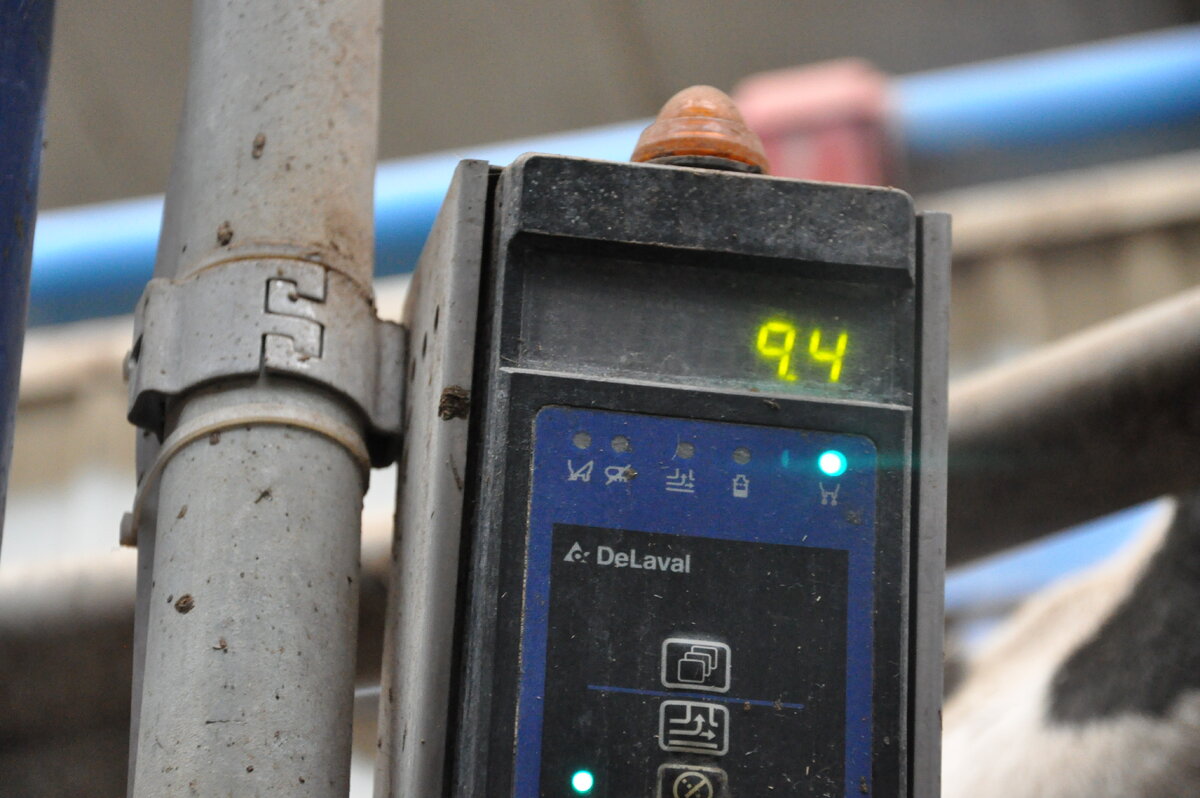 “КУРСАБАШ”НЫҢ СӨТ АРИФМЕТИКАСЫ | Саба таңнары | Дзен