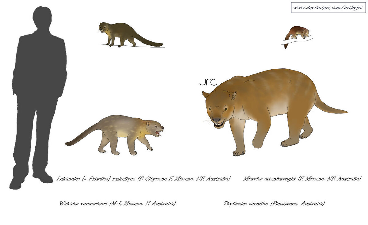 Микролео (Microleo attenboroughi) – самый крохотный «лев» в истории ...