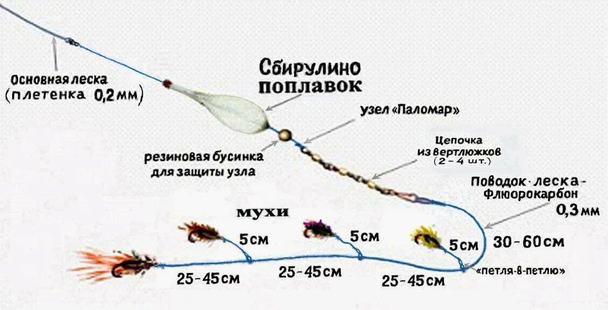 Мастерство ловли на бомбарду: советы и техники для успешной рыбалки ...
