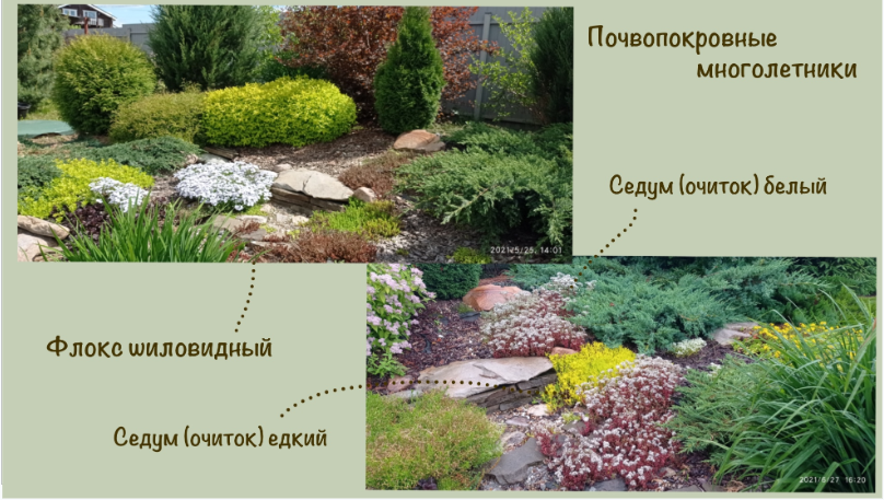 🔥Нестандартное садовое решение | Сад по-новому. Школа ландшафтного ...