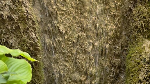 МАША ДАРК Как называется эта рыба 🐟 машадарк Дзен