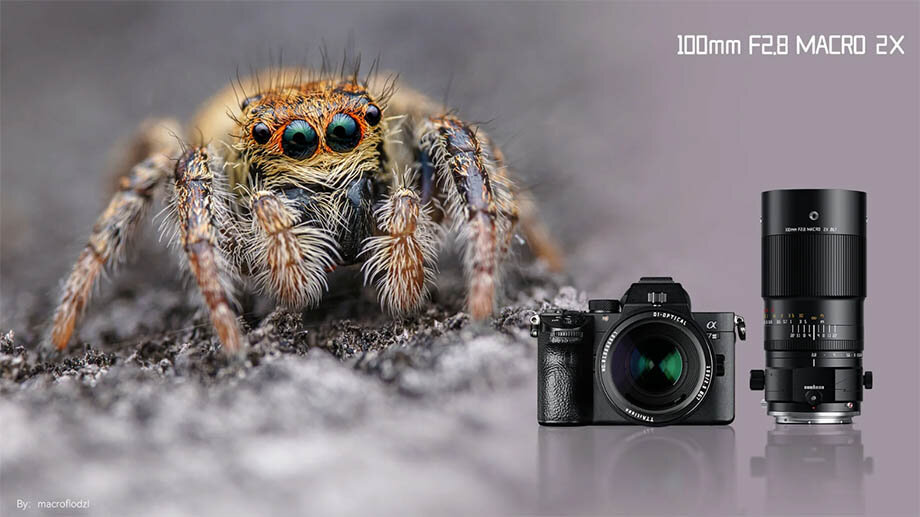 Новый объектив TTArtisan Tilt-shift 100mm F2.8 2x Macro | PhotoWebExpo ...