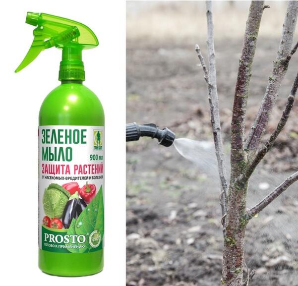 Первая обработка сада весной | Feel Green | Дзен