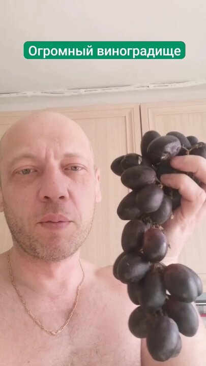 Огурец чем полезен