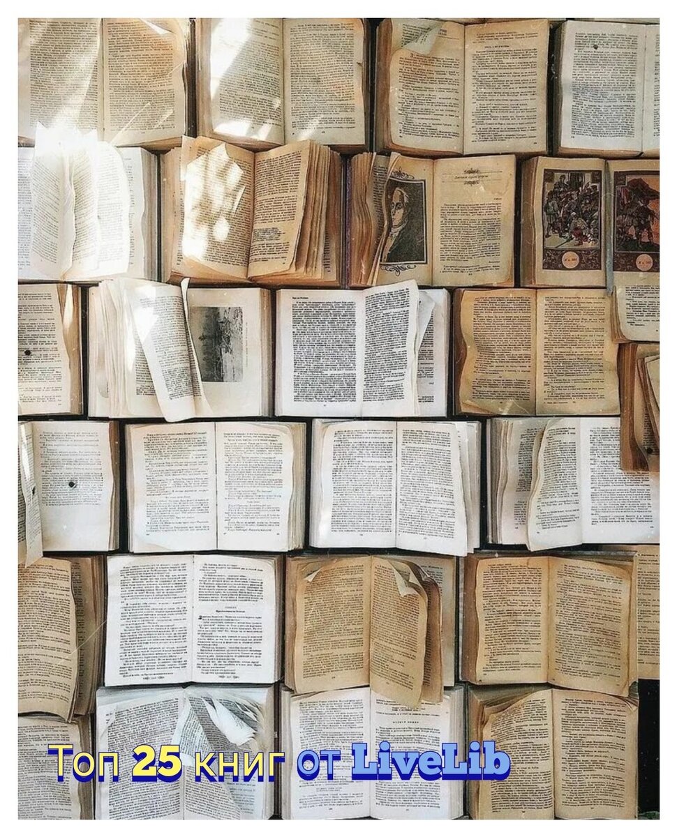 Топ 25 книг по версии читателей LiveLib в 2023 году | С книгой в руках 📚 | Дзен