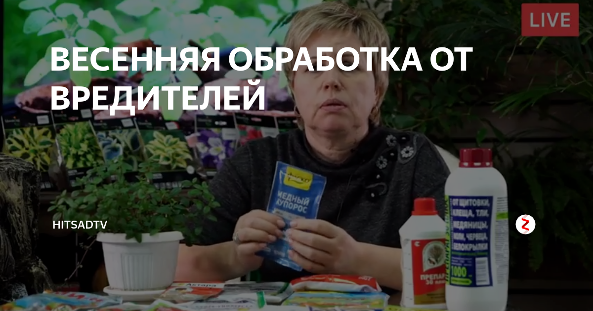 ВЕСЕННЯЯ ОБРАБОТКА ОТ ВРЕДИТЕЛЕЙ | HiTSAD | Дзен