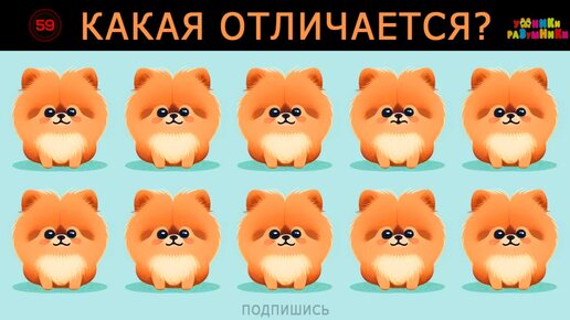 Несколько заданий на поиск отличий 😎 Выполни разминку для мозга 👩‍🏫 ...