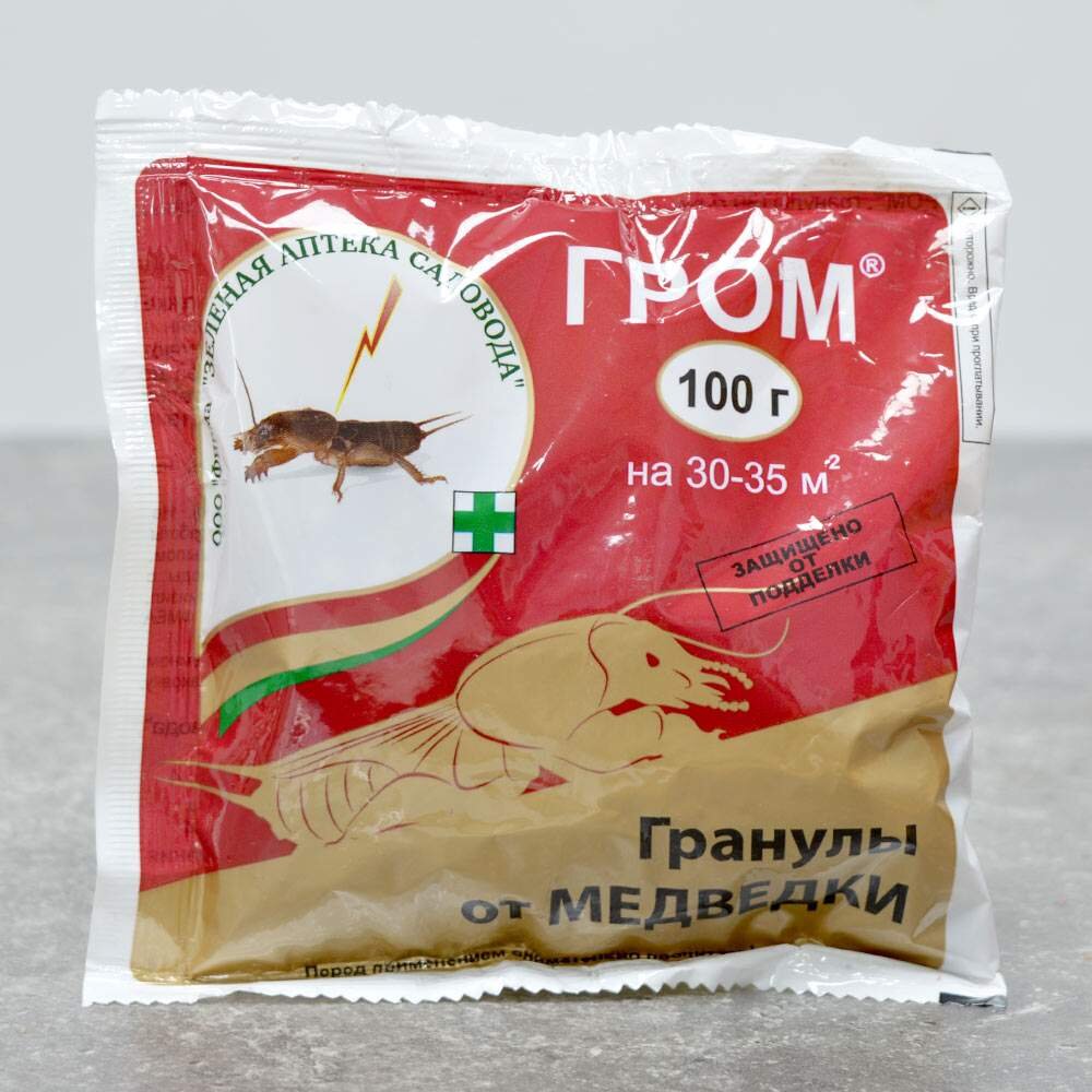 Кто такая медведка, чем она опасна для сада и можно ли от нее ...