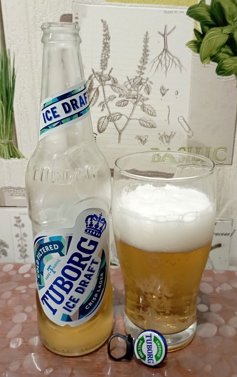 Tuborg Ice Draft. Новинка от "Балтики". | Провинциальный пиволюб | Дзен