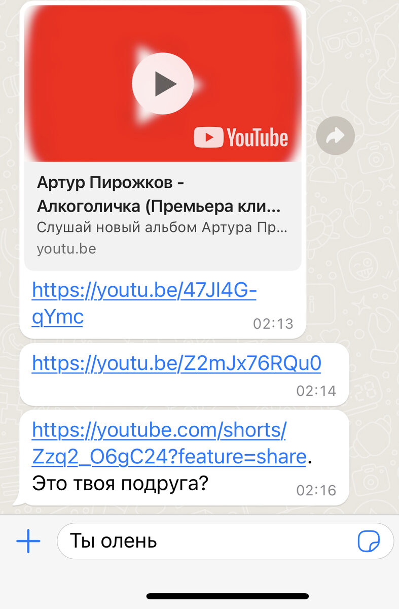 Олег мне написал ночью Люся и Тимур Дзен
