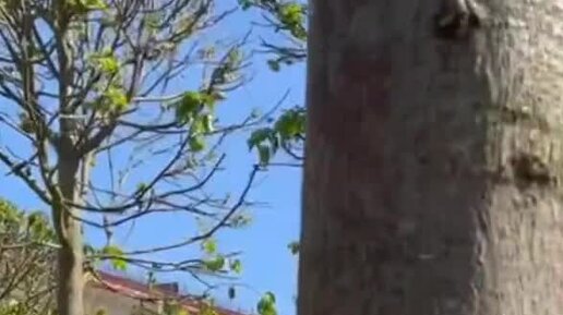 Павел Перец Как изменилась парковка на Исаакиевской площади