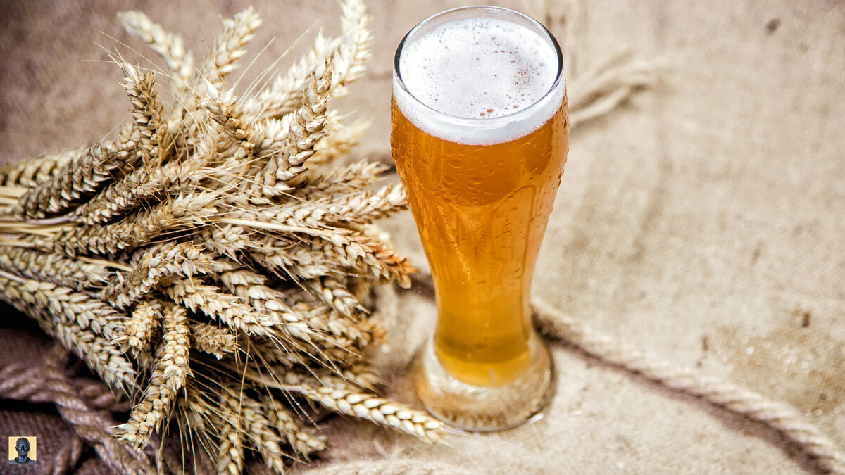 IPA, APA, DIPA, TIPA... Что это такое и в чем отличие? Разбираем на пальцах | Смотреть. Есть ...