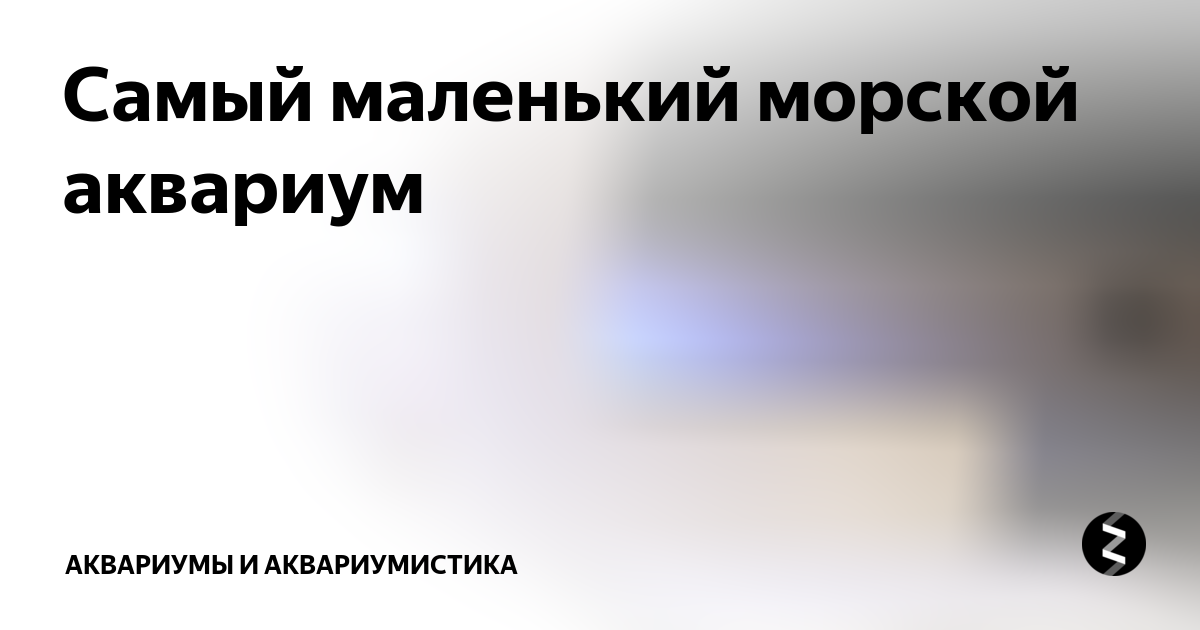 Самый маленький морской аквариум | Аквариумы и аквариумистика | Дзен