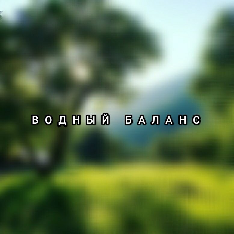 Водный баланс и спорт | Fit and Fine | Дзен