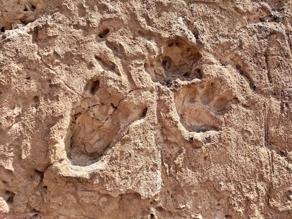 Удивиться в Казахстане: tata_lind — LiveJournal