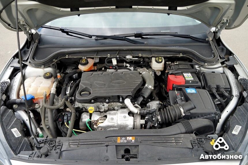 Wagon удовольствия. Тест-драйв подержанного Ford Focus IV | abw.by | Дзен