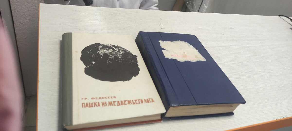 Вторая продажа за апрель две советские книги 📚 | Жизнь после ИКЕА | Дзен