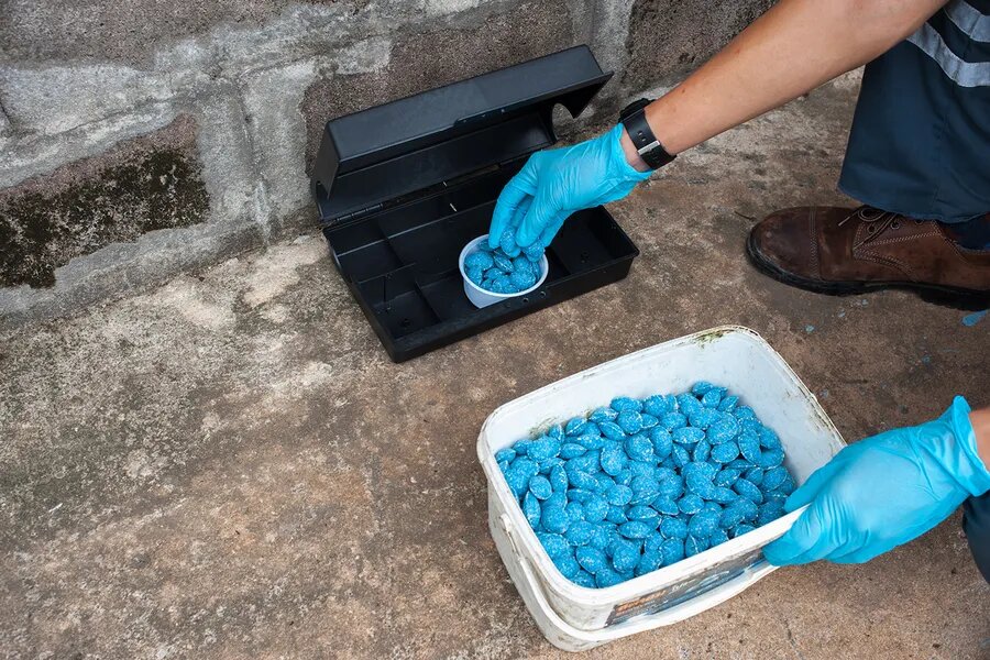 Как защитить утеплитель от грызунов | Петрович: всё о стройке и ремонте ...