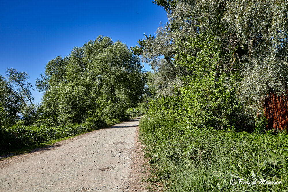 Сашка (часть 346) | MAX67 - Хранитель Истории | Дзен