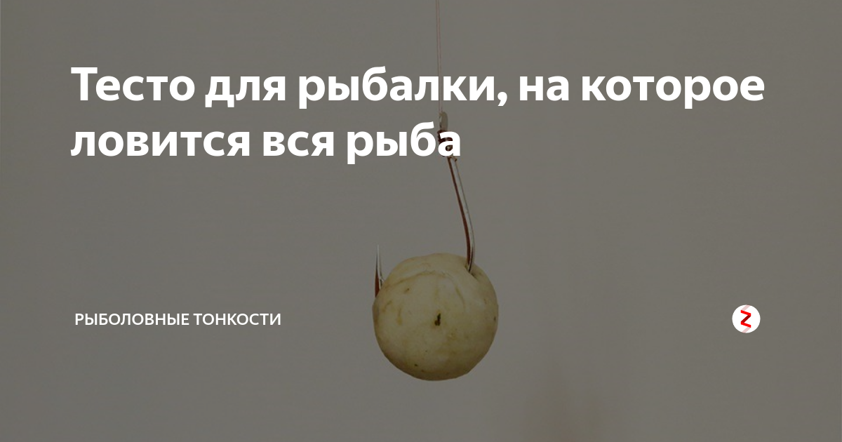 Тесто для рыбалки, на которое ловится вся рыба | Рыболовные тонкости | Дзен
