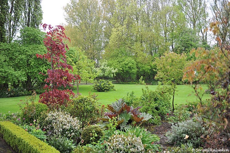 Прекрасный сад и 10 правил работы с тюльпанами Йоке Сайсоув | Сады и ...