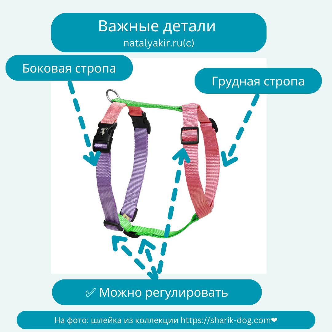 Как выглядит правильная шлейка для собак | Зоопсихолог Наталья Кир ...