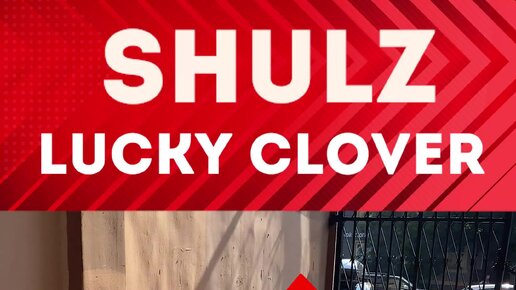 AlienBike TV | Shulz Lucky Clover или Shulz Roadkiller? | Гравийный ...