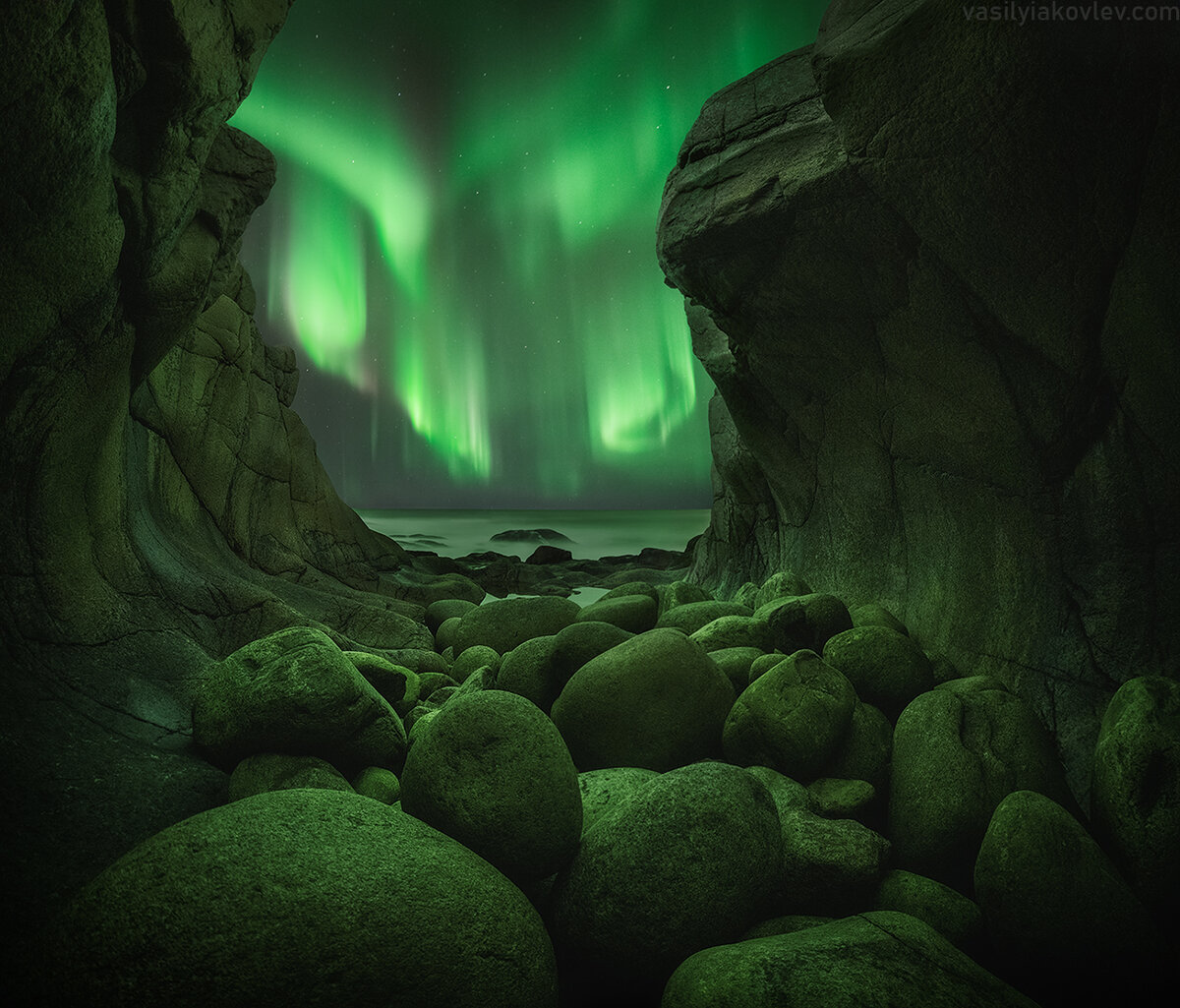 Итоги фотоконкурса на призы Nikon, HOYA и Aссоциации фотографов ...